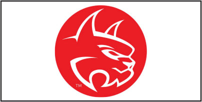 Redcat Racing – Chris's House